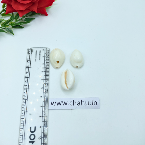 cowrie shell jewelry | Chahu